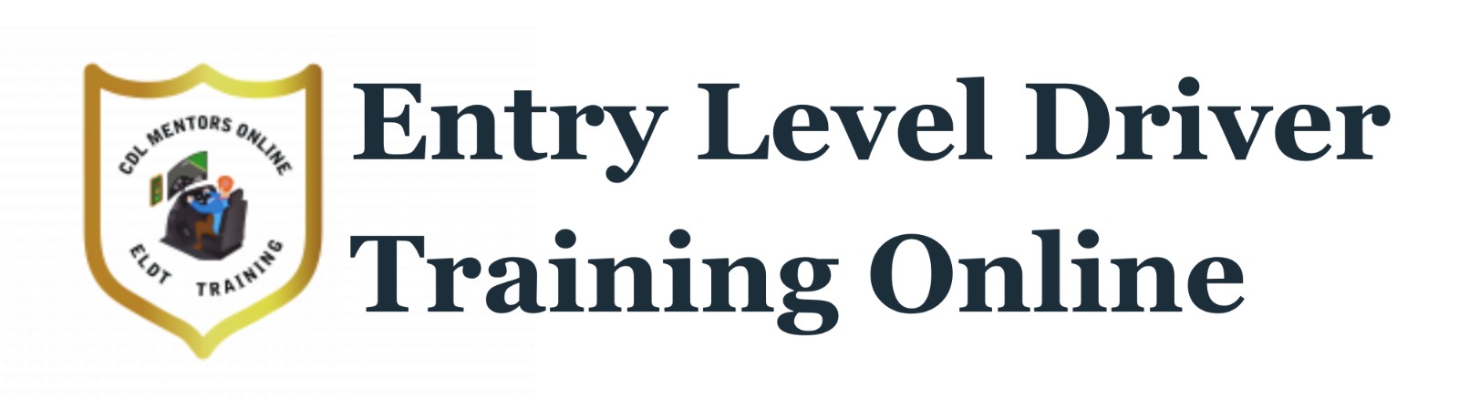 Online Entry-Level Driver Training Course